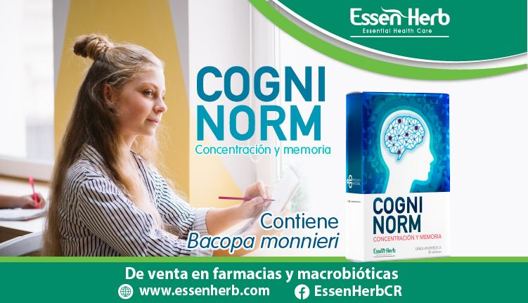 ¿Como evitar el agotamiento mental? – Panorama Digital – Costa Rica